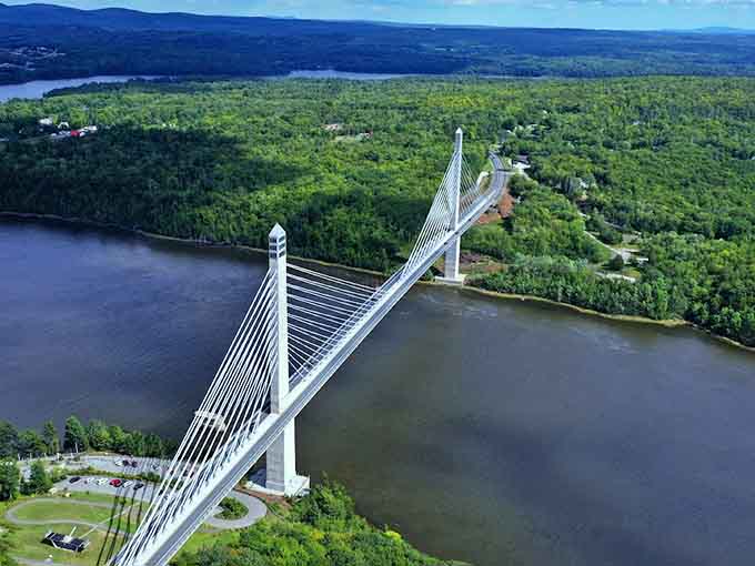 From up here, even your problems look smaller, which is exactly the perspective everyone needs sometimes.