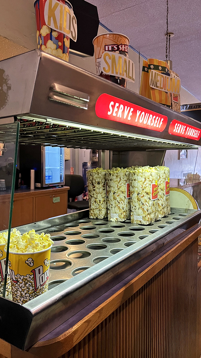 Popcorn paradise awaits at the self-serve station, where movie-goers can control their butter destiny &ndash; a small luxury that big chains just can't match.