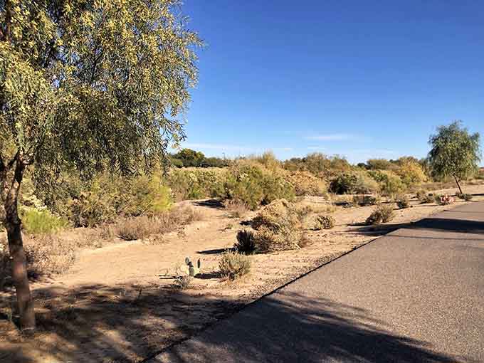 Sunshine and smooth paths make this trail the outdoor equivalent of having your cake and eating it too.