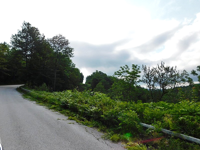 The winding path beckons travelers forward, whispering promises of an accidental international adventure just around the bend.