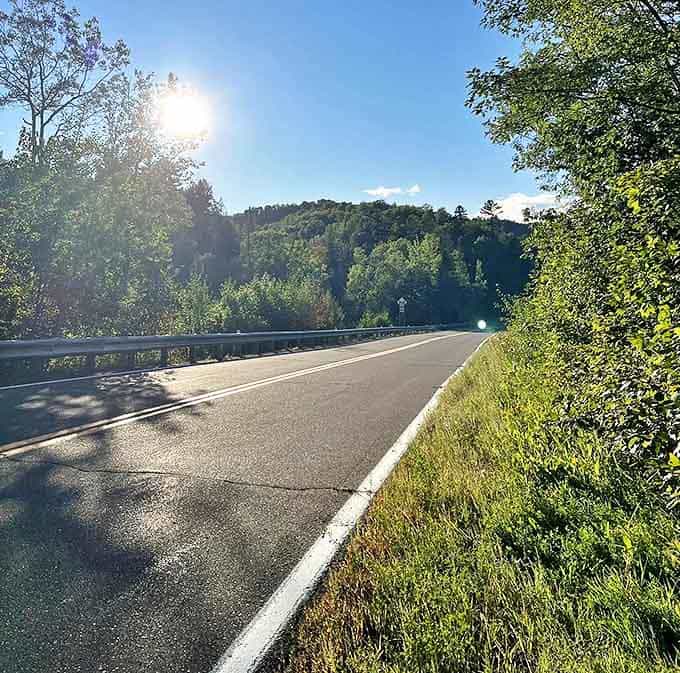 The road less traveled beckons with sunlight filtering through Minnesota's northern forests&mdash;your gateway to wilderness adventure awaits just beyond the bend.