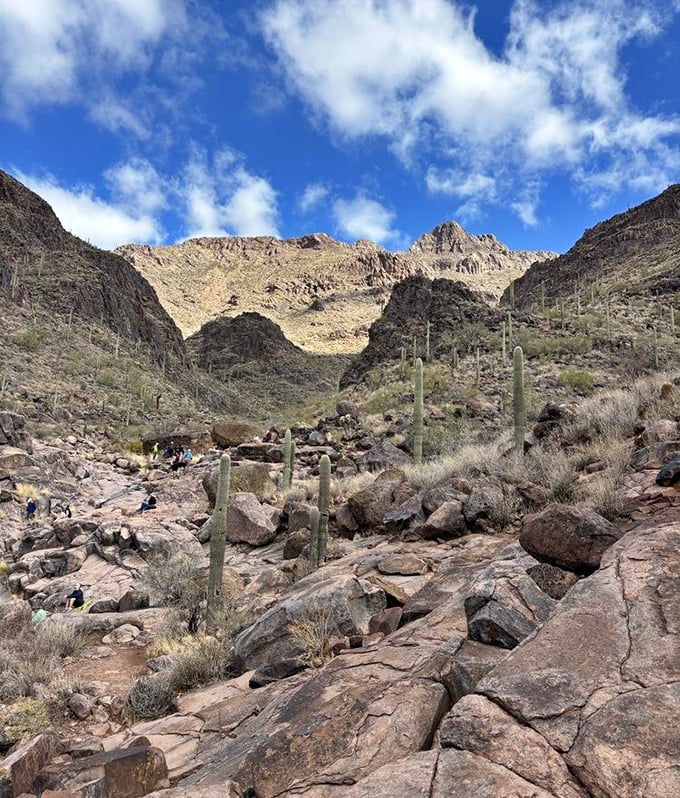 Majestic Superstition Mountains frame the trail, their rugged silhouettes standing like ancient guardians against the brilliant blue sky.