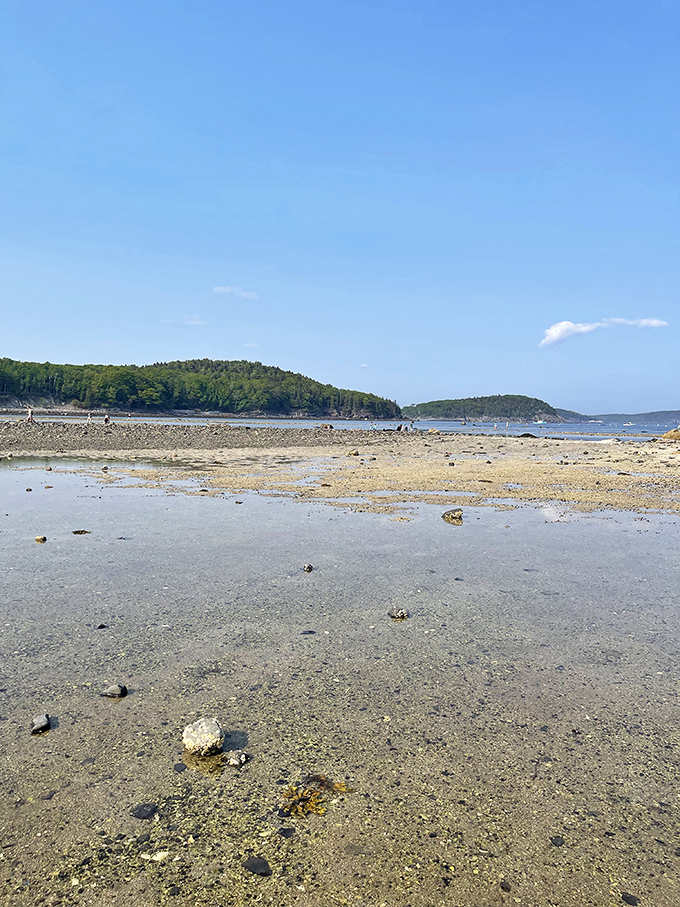 Where the ocean takes a coffee break, revealing a rocky playground connecting mainland to island adventure.