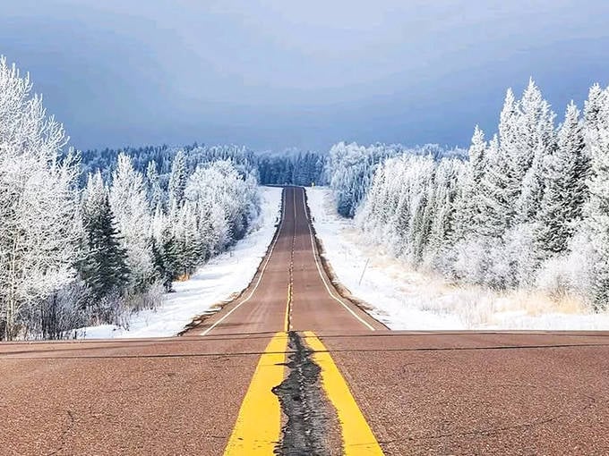Winter transforms Highway 1 into a magical corridor, where frost-kissed pines stand sentinel along a pristine snow-covered path to adventure.