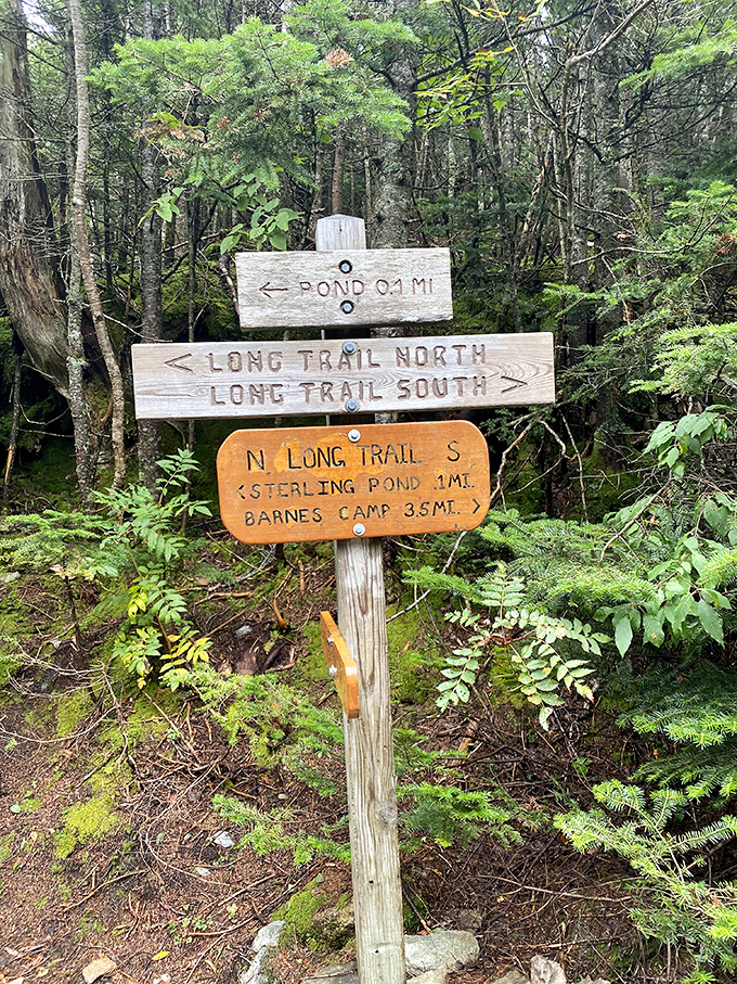 Trail markers point the way like friendly woodland guides, ensuring even directionally-challenged hikers find their adventure.