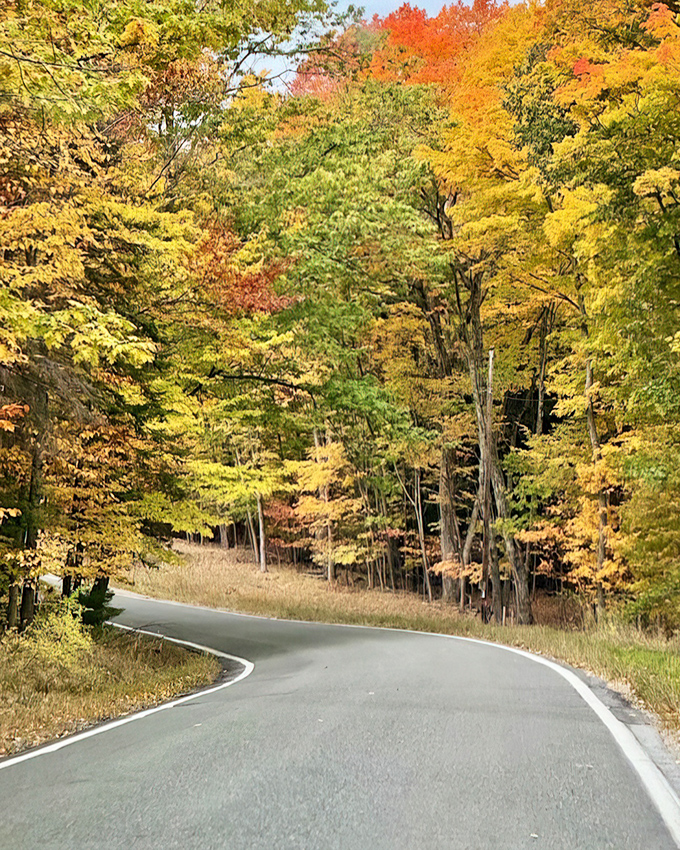 This winding stretch of M-119 showcases autumn's fiery palette, where every turn reveals a new masterpiece of fall color.