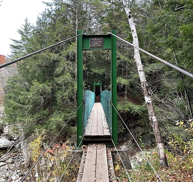 Standing tall among giants: The bridge's entrance frames a perfect portal to adventure, surrounded by Vermont's ancient forest guardians.
