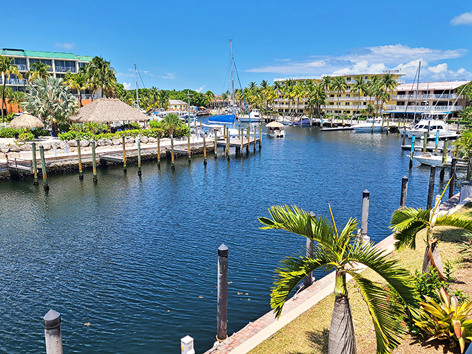 Marina life in Key Largo: where boats gently bob in agreement that there's nowhere better to drop anchor.