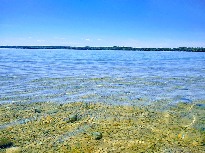 Crystal clarity that rivals tropical destinations &ndash; Torch Lake's transparent waters reveal every pebble, creating nature's own aquarium for swimmers to explore.
