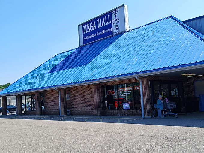 Michigan's Most Unique Shopping isn't just a slogan &ndash; it's a seven-day-a-week promise that keeps treasure hunters coming back.