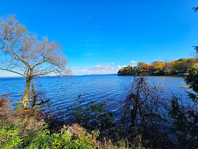 Autumn transforms Lake Champlain into a mirror, reflecting Vermont's beauty twice over for double the visual feast.