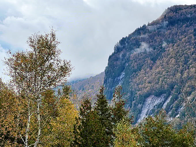 Misty clouds embrace mountain slopes like a gentle hug, creating that perfect moody Vermont atmosphere we all crave.
