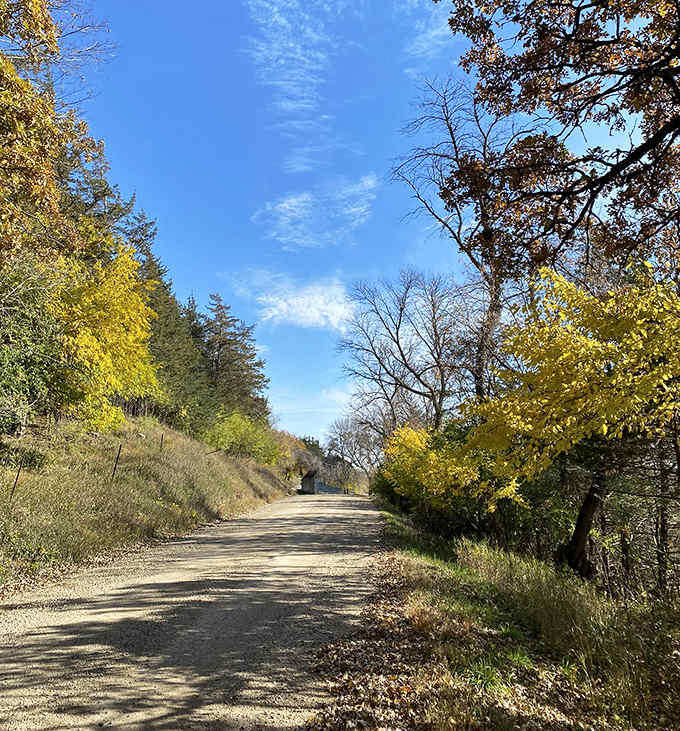 Winding gravel paths like this one invite exploration, promising discoveries around each bend that no GPS could ever predict.