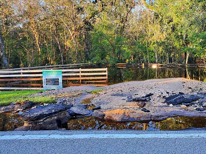 This scenic overlook shows where millions of years of history wait just beneath the surface for curious explorers.