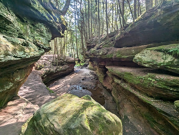 Sandstone corridors carved by millennia of patient water, creating nature's own sculpture gallery for curious explorers.