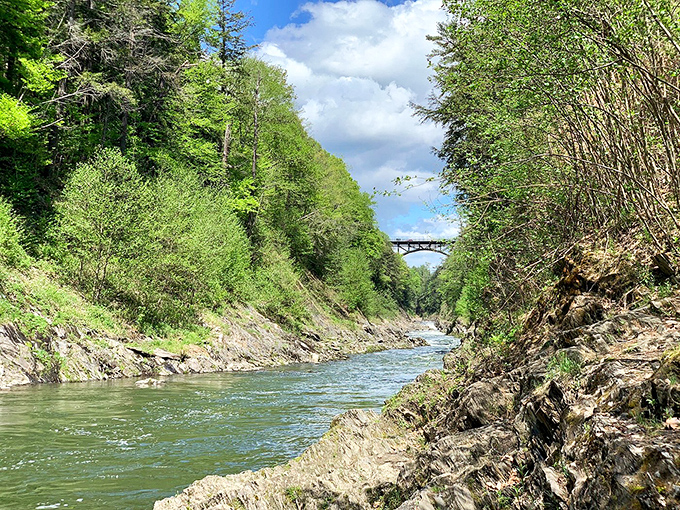 Nature's masterpiece unfolds below as the river carves its ancient path through Vermont's lush landscape, a scene that changes with every season.