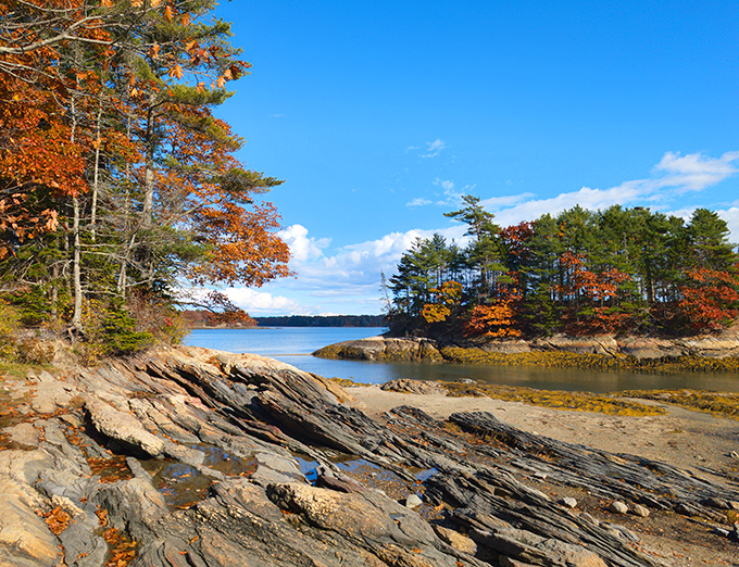 Fall's fiery palette meets Casco Bay's serene waters, creating a masterpiece that would make Monet jealous.