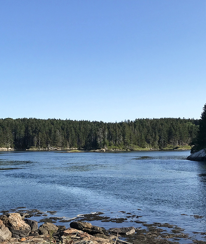 Nature's masterpiece unfolds along this tranquil shoreline, where pine-covered hills meet crystal waters in a timeless Maine embrace.