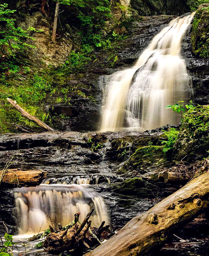 Sunlight filters through the forest canopy, illuminating the cascading water as it tumbles gracefully down moss-covered rocks.
