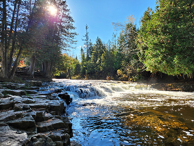 Sunlight dances across the cascading waters, turning an ordinary afternoon into a sparkling spectacle of nature's simple perfection.