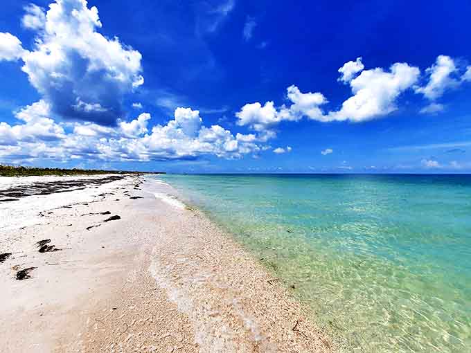 Rocky outcroppings surrounded by evergreens offer breathtaking mountain views, nature's own observation deck waiting to be discovered.