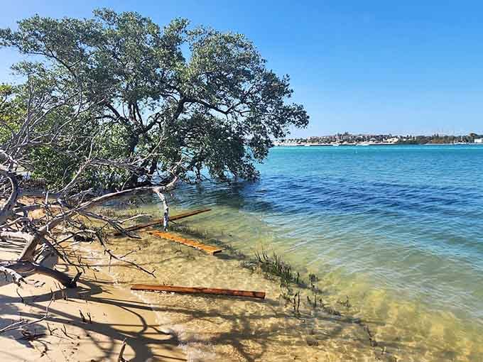 When the Atlantic decides to show off like this, with waves rolling in and that endless horizon, you remember why people have been writing songs about the ocean since forever.