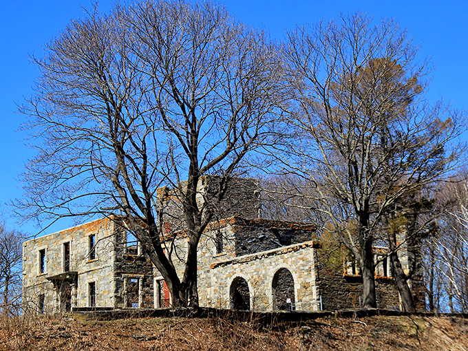 Nature reclaims what man built: Bare winter trees embrace the mansion ruins, creating a hauntingly beautiful silhouette against Maine's blue sky.