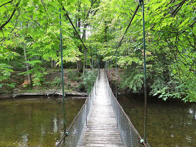 This suspension footbridge isn't just a crossing, it's nature's rollercoaster, gently swaying with each step as the Chippewa River flows beneath.