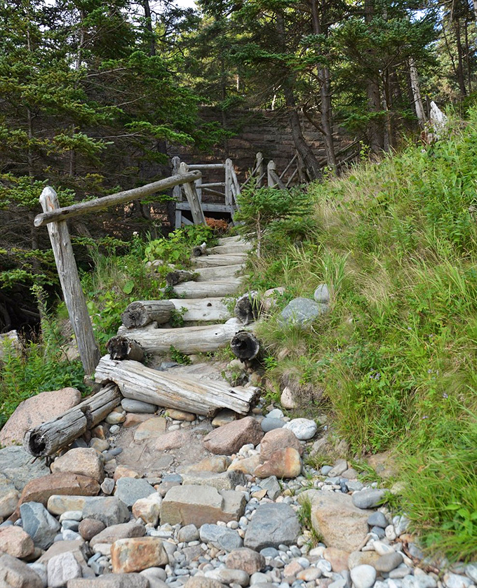 The hidden trail winds through Acadia's coastal forest, where sunlight dapples through pine needles like nature's own stained glass.