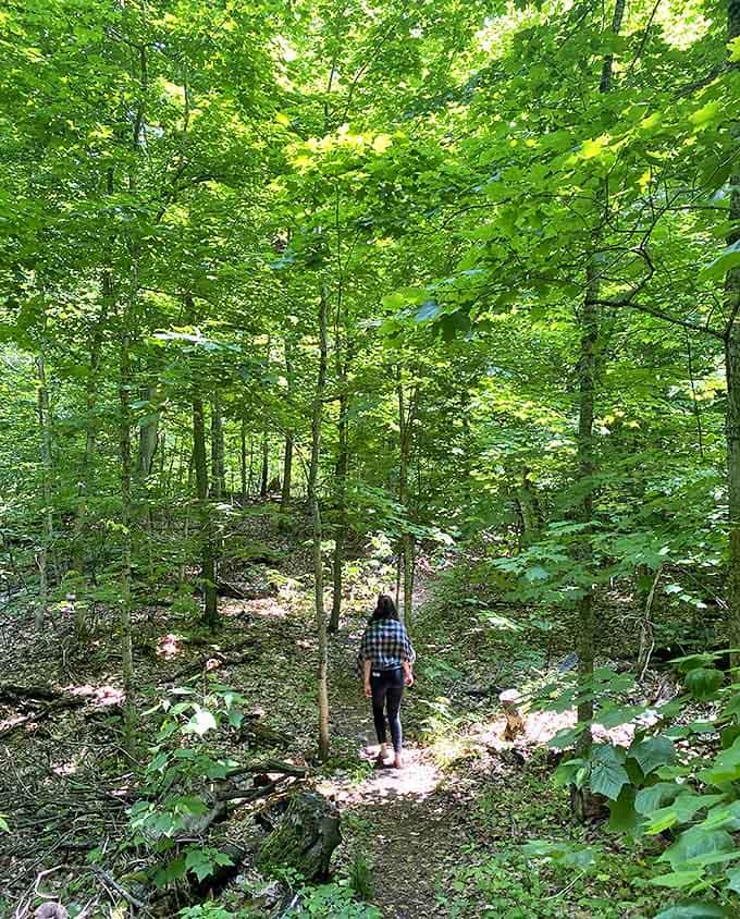 A hiker explores the forest trails that branch off from the main road, where dappled sunlight creates nature's own light show.