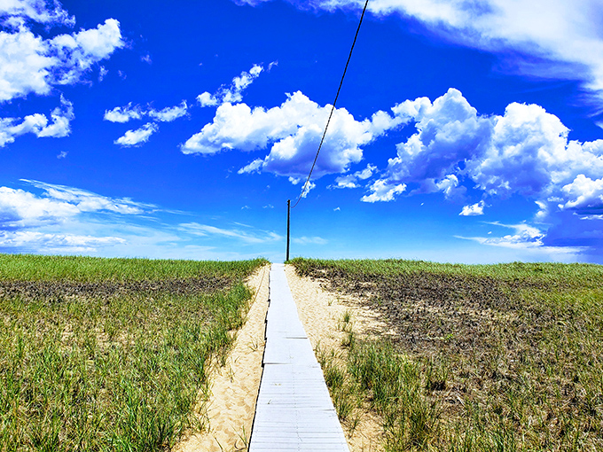Nature's welcome mat unfurls across the dunes &ndash; this wooden boardwalk promises adventure with every step toward the Atlantic's embrace.