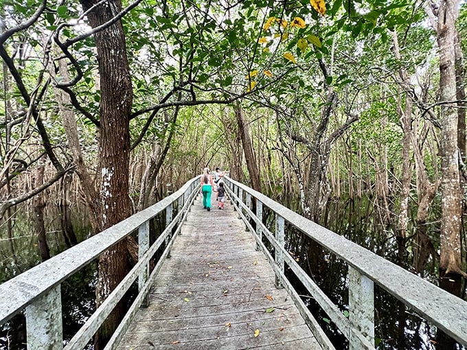 A wooden boardwalk leads through the wetlands at Secret Woods Nature Center, providing access to ecosystems that would otherwise remain hidden.