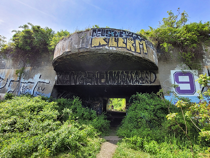 Nature slowly reclaims this massive WWII bunker on Peaks Island, where concrete walls now serve as canvas for colorful graffiti artists.