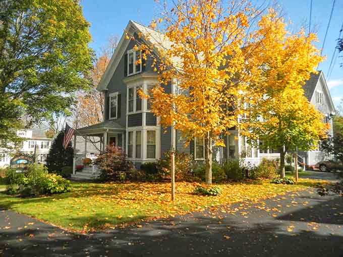 The Brewster House welcomes summer with open arms and gardens ready for their lupine guests.