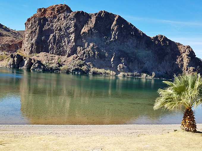 Dramatic mountain backdrops frame the peaceful beach at Buckskin Mountain State Park, where desert meets river in spectacular fashion.