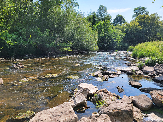 A peaceful stream winds through Cherney Maribel Caves Park, inviting visitors to follow its path to underground wonders.