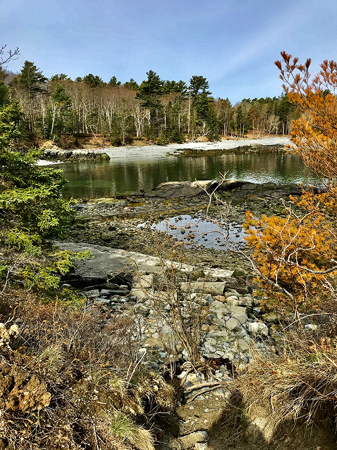 Ancient stone steps wind through Compass Harbor's forest, inviting explorers to discover what lies beyond the next turn.