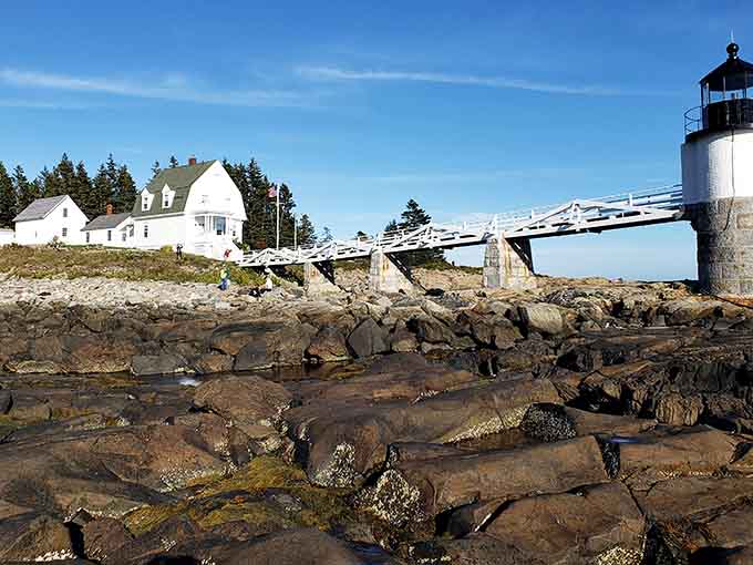 Marshall Point's iconic white walkway stretches across the rocks like a bridge between land and sea, pure Maine beauty.