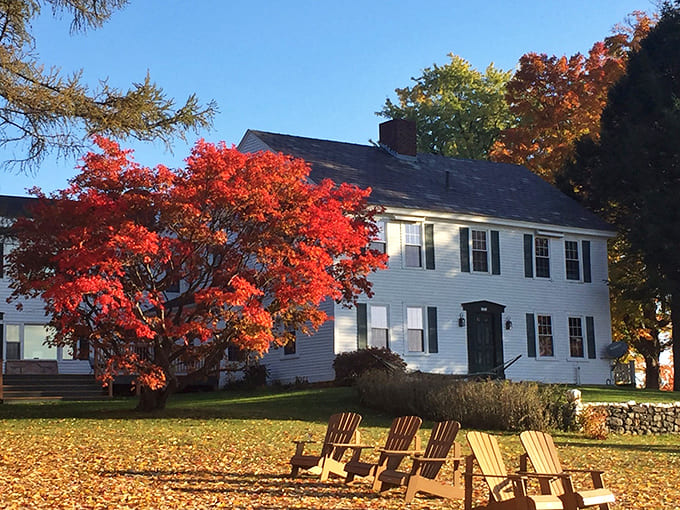 Fall in Marlboro turns every lawn into a masterpiece, with trees showing off colors that make you understand why people drive hours for foliage season.
