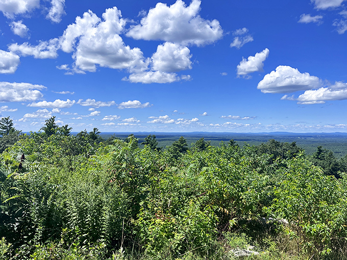 The rewarding panoramic view from Mount Agamenticus stretches for miles, showcasing Maine's diverse landscape of forests, hills, and distant ocean.