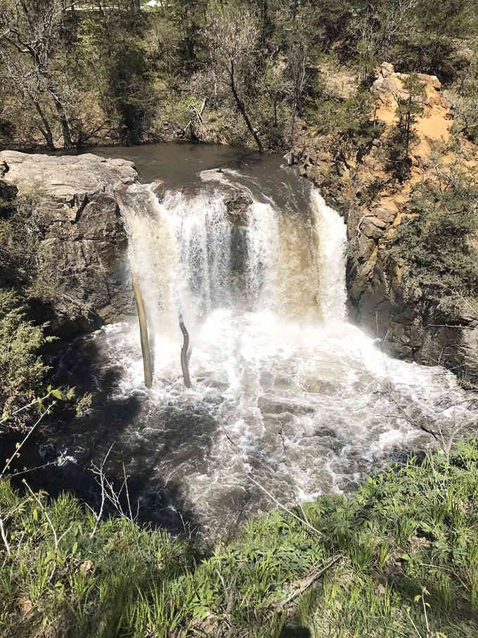 Ramsey Falls thunders down 45 feet of ancient rock face, creating a misty spectacle that rivals much more famous waterfalls.