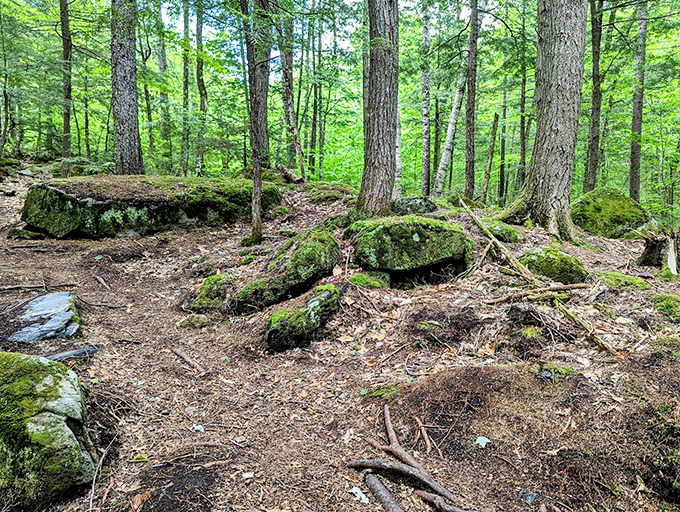 Nature's artistry on display at Reed Brook Falls, where moss-covered boulders create a prehistoric landscape straight from a fantasy novel.