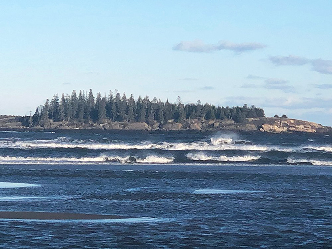 Seawall Beach's dramatic waves crash against a pine-topped island, creating nature's own percussion section.