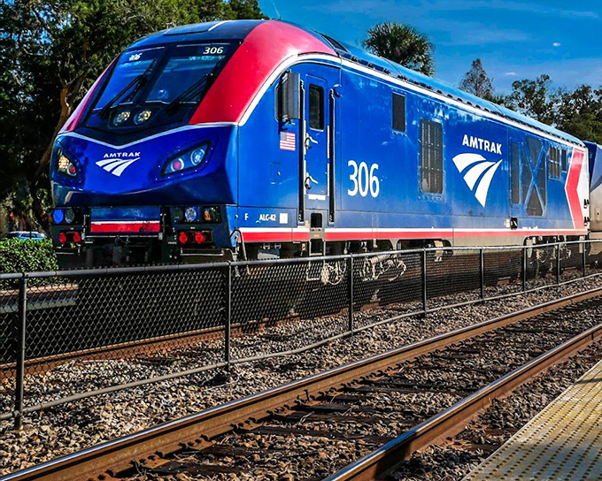 The modern Amtrak Charger locomotive #306 gleams in the Florida sunshine, combining cutting-edge technology with the timeless romance of rail travel through the Sunshine State.