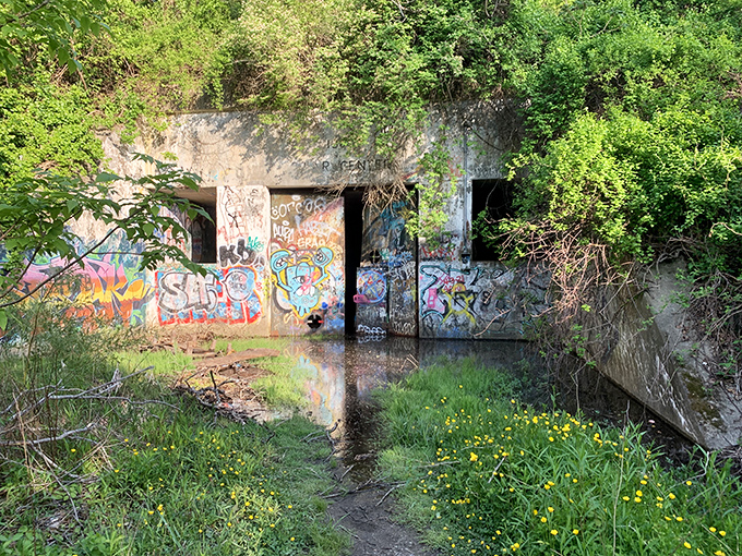 Sunlight streams through Battery Steele's abandoned corridors, creating an eerie playground where history and art collide.