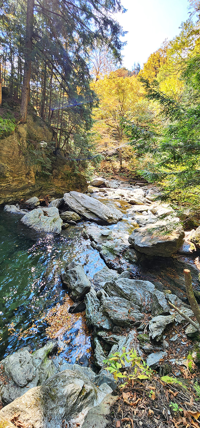 A peaceful forest stream winds through autumn's palette, promising the reward of thundering falls just around the bend.