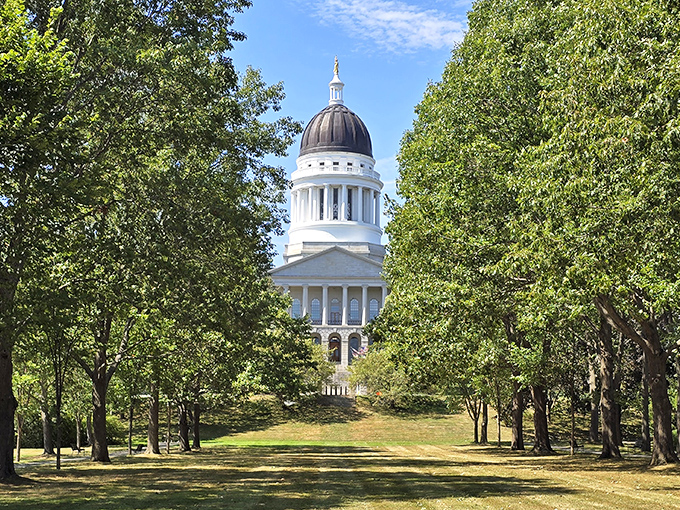 The stately Maine State Capitol building peeks through a frame of summer greenery, its classic architecture standing in dignified contrast to nature's casual beauty.