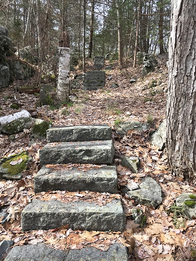 The rocky shoreline at Compass Harbor creates a dramatic meeting point between forest and sea, with crystal clear waters lapping against the shore. 