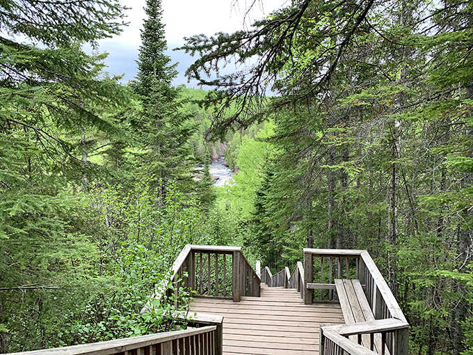 The wooden observation deck offers a front-row seat to Devil's Kettle's geological magic show, where water performs its disappearing act.
