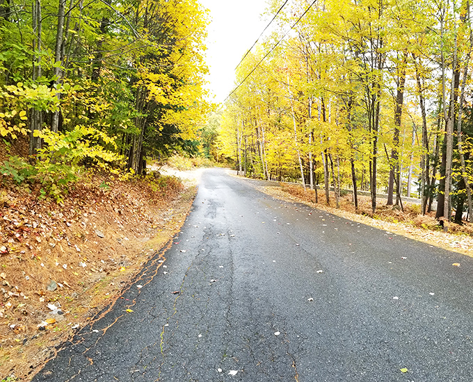 Fall's golden touch transforms this Naples pathway into a magical tunnel of color that makes even reluctant hikers eager to explore.
